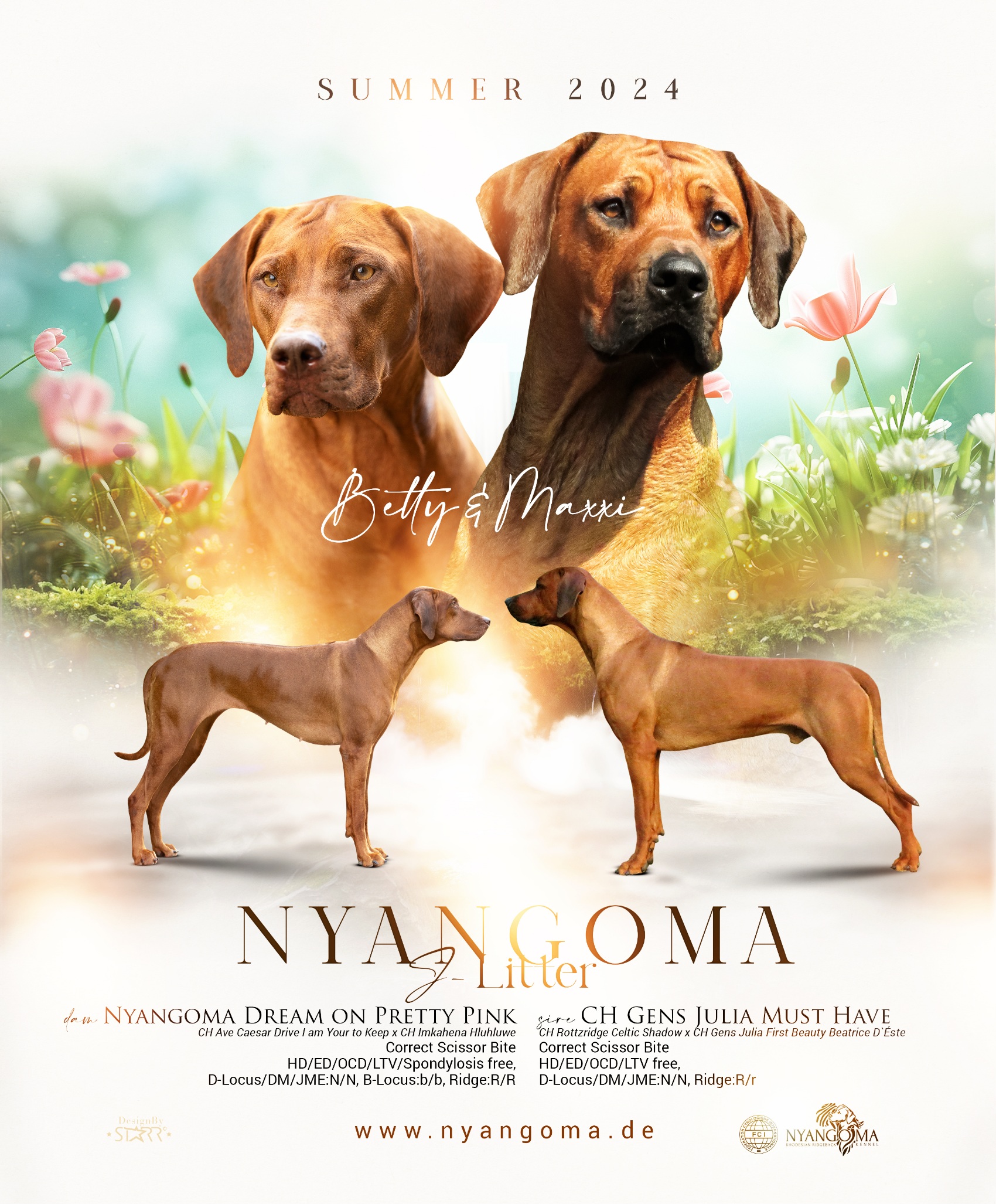 DZRR e&V&